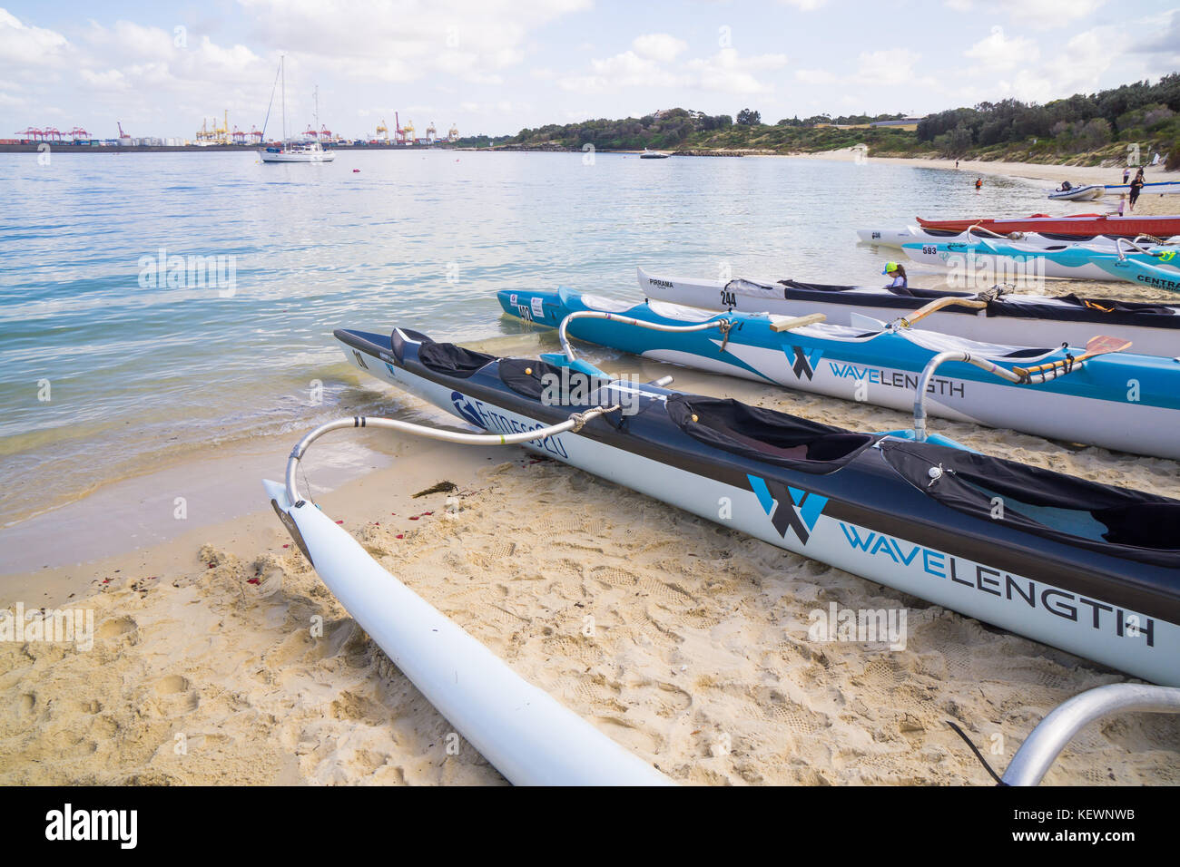 An Outrigger Canoe race in South Sydney Stock Photo - Alamy