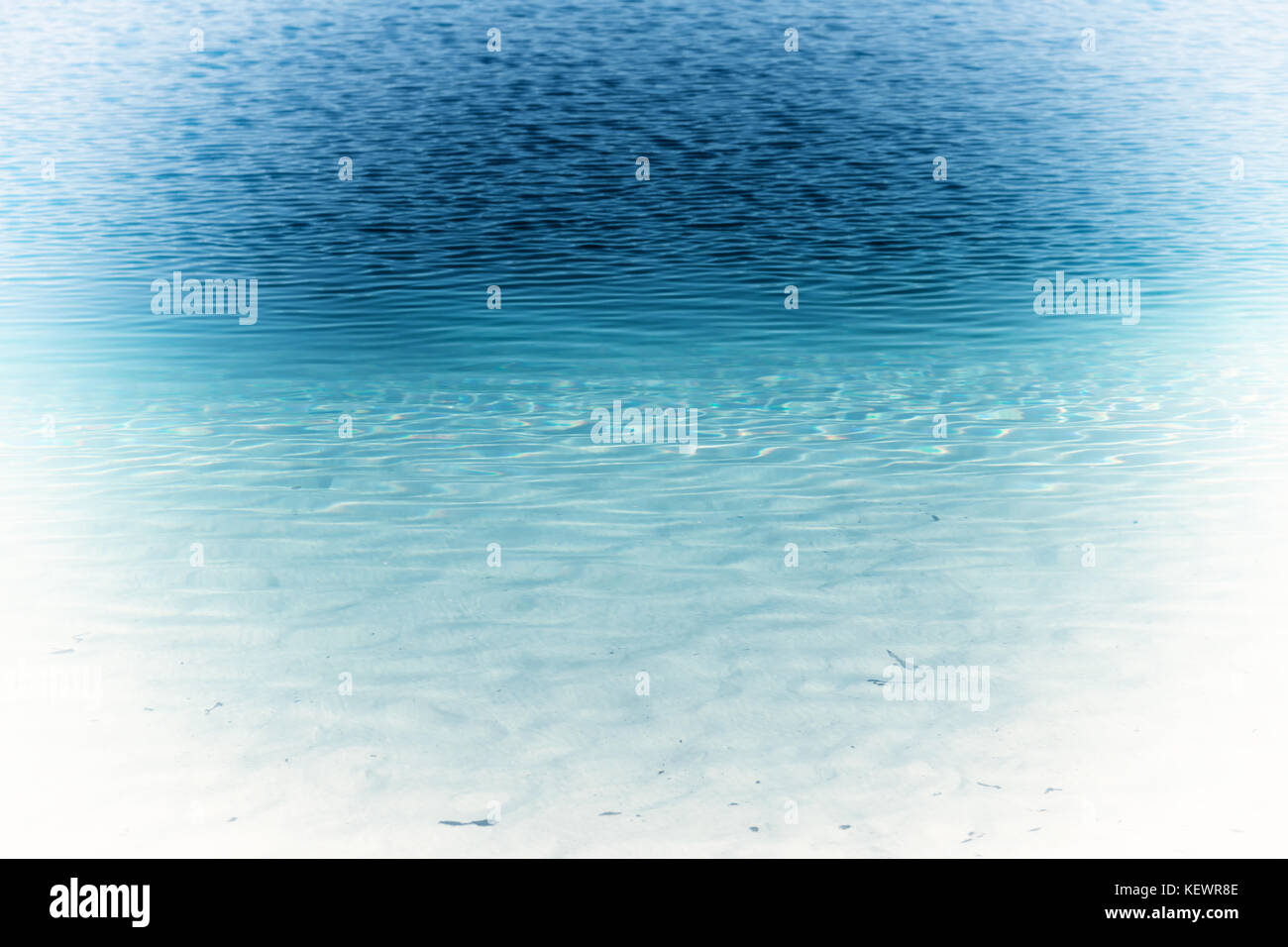 in australia the concept of relax in the clean water near coastline ...