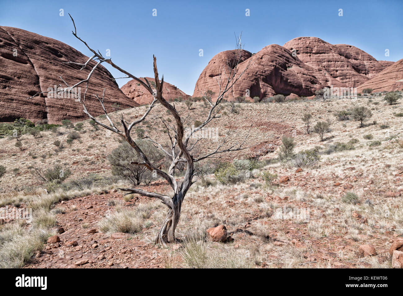 in australia the concept of wilderness environment in the landscape ...