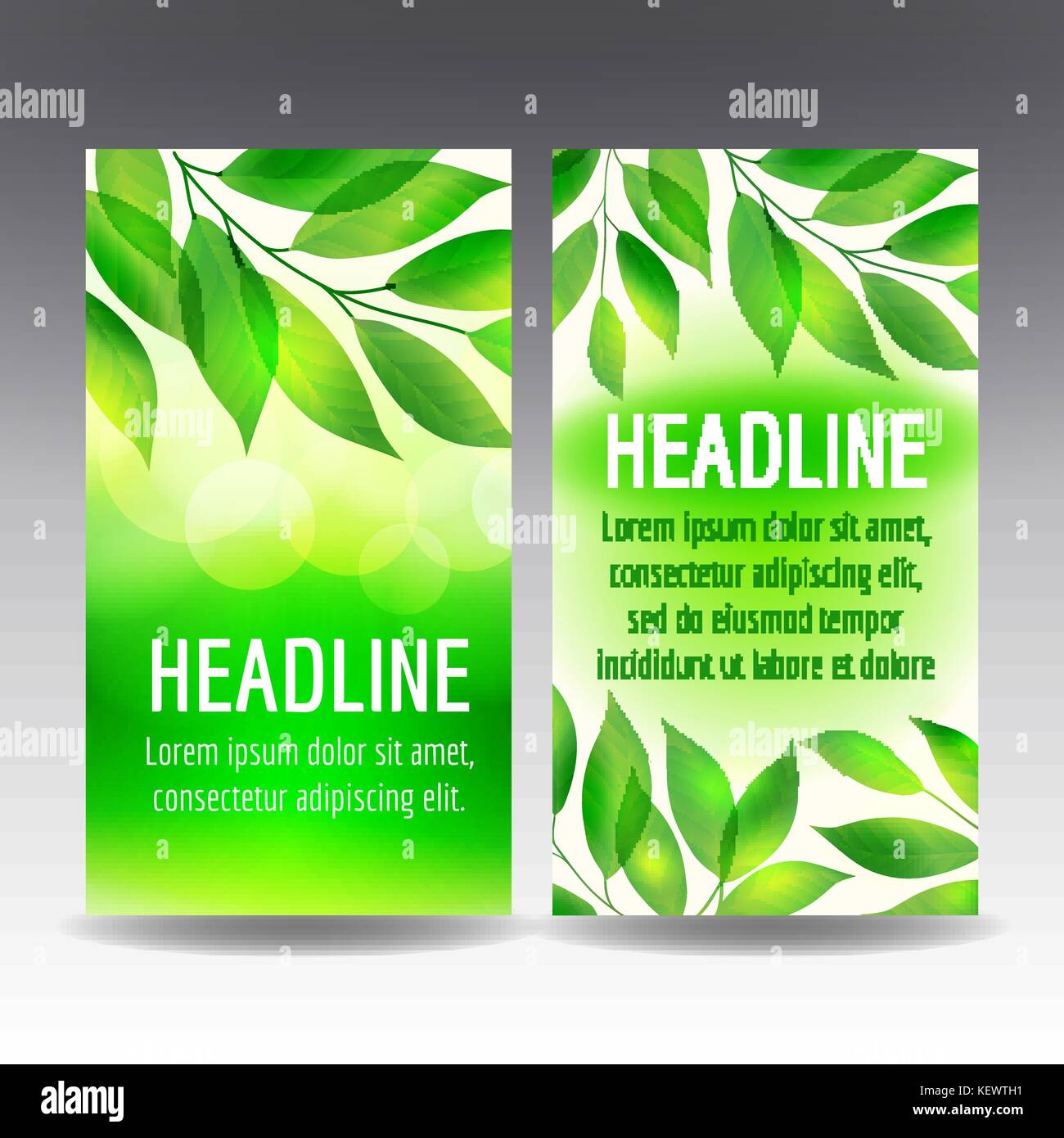 Flyer templates with green leaves Stock Vector Image & Art - Alamy