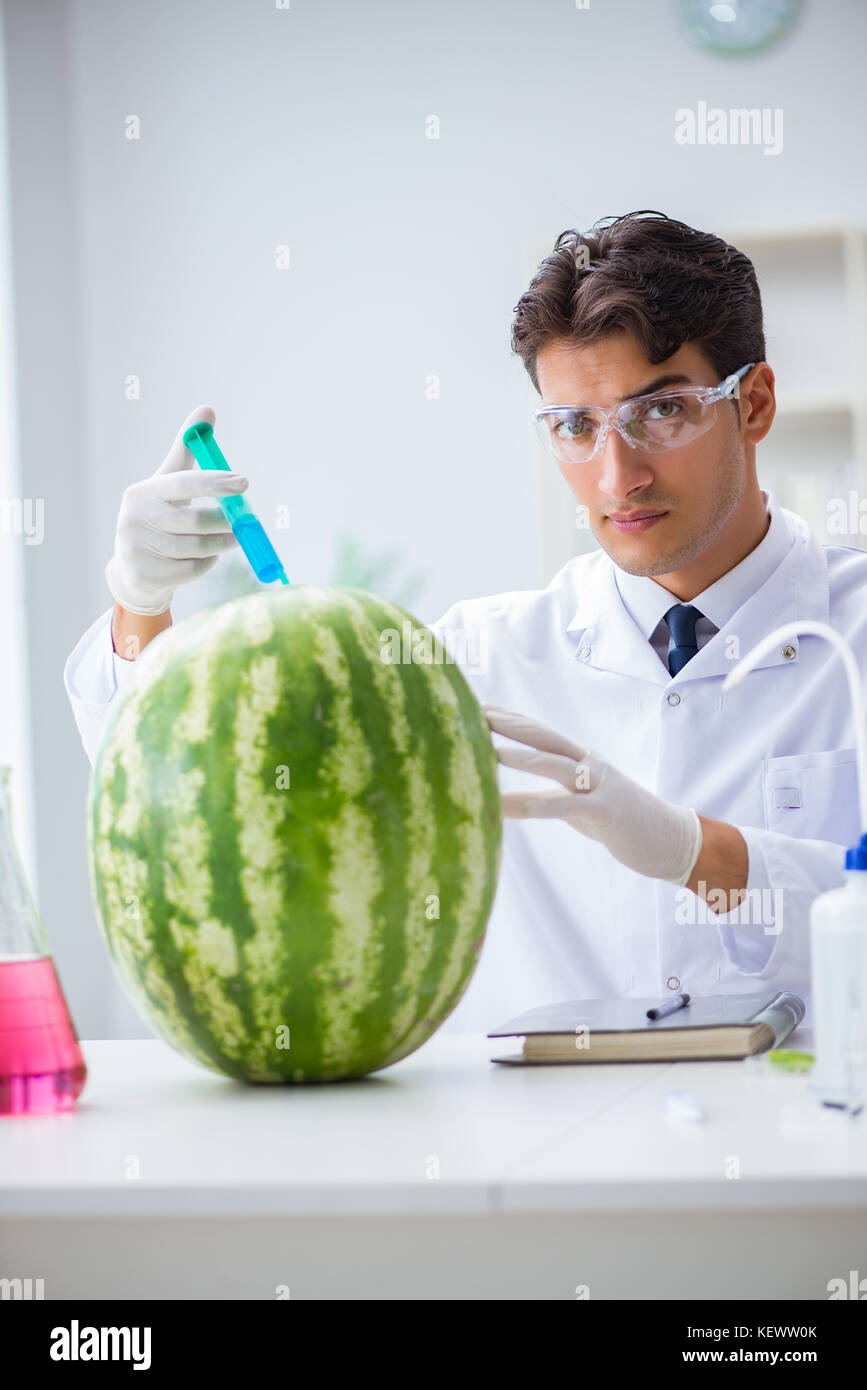 Scientist testing watermelon in lab Stock Photo - Alamy