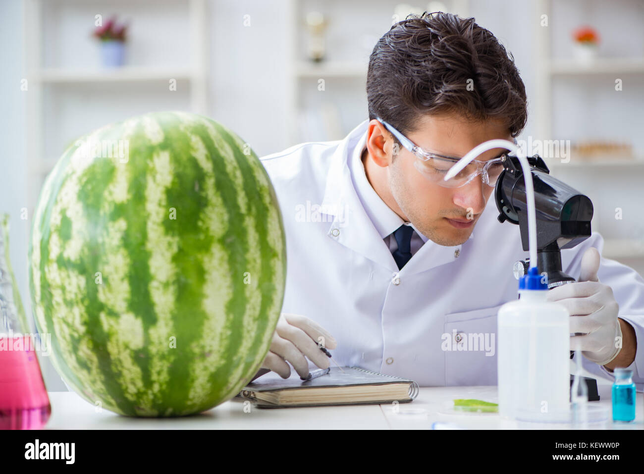 Scientist testing watermelon in lab Stock Photo - Alamy