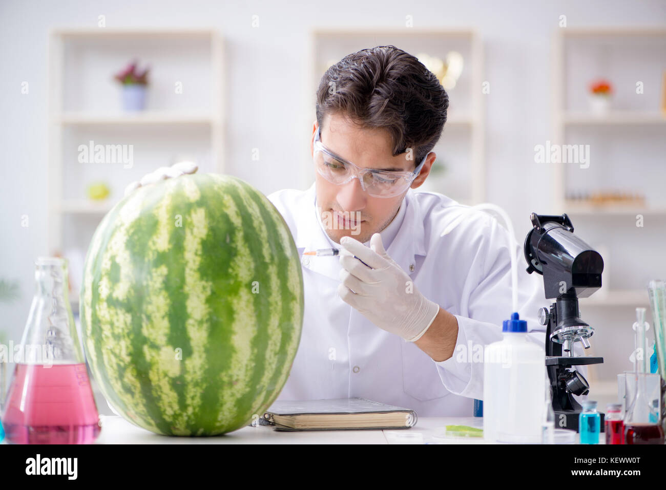 Scientist testing watermelon in lab Stock Photo - Alamy