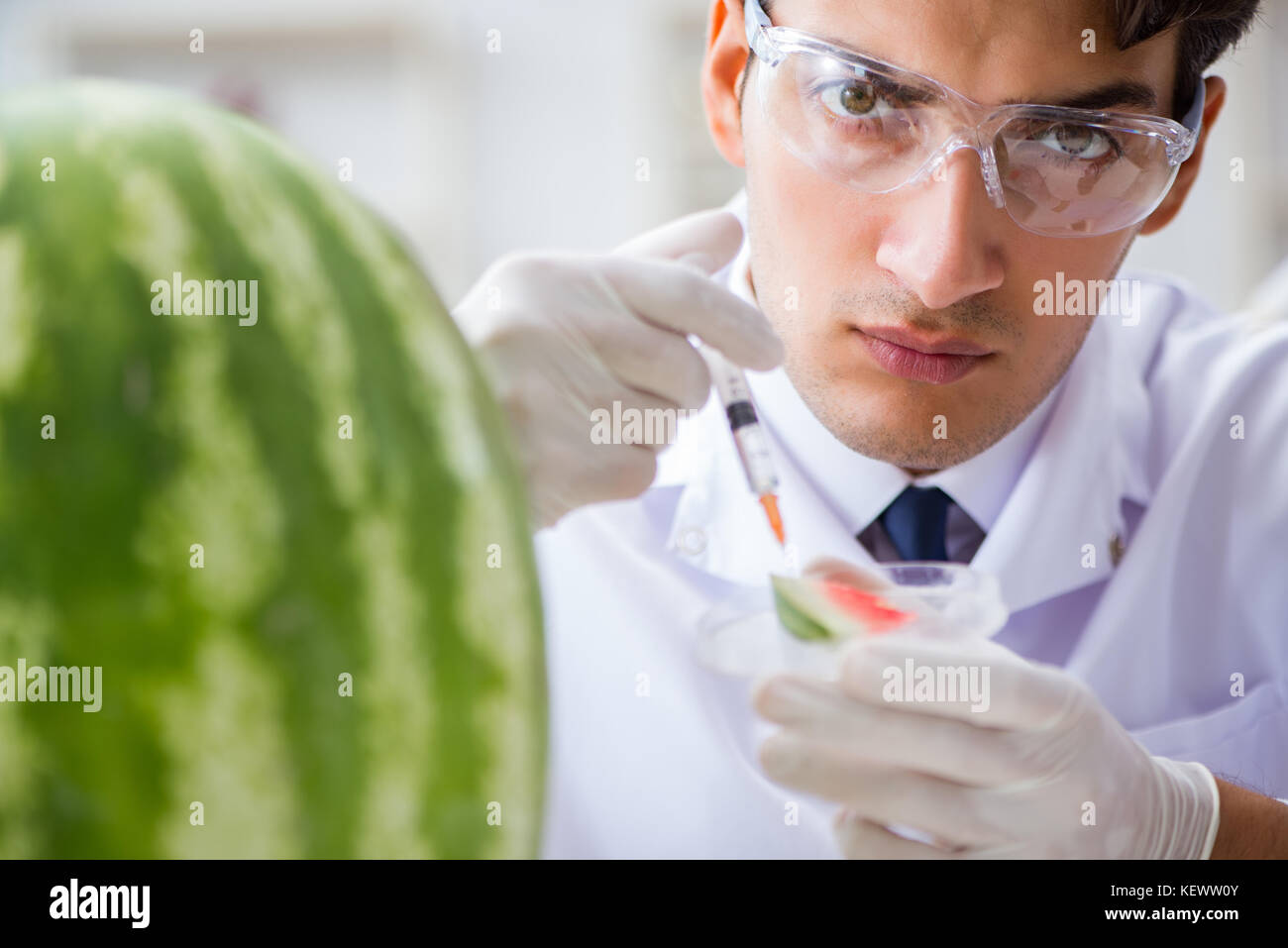 Scientist testing watermelon in lab Stock Photo - Alamy