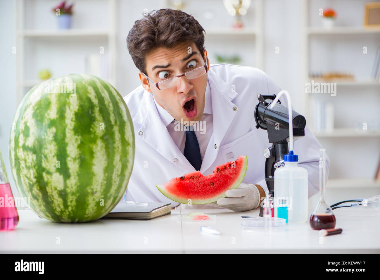 Scientist testing watermelon in lab Stock Photo - Alamy