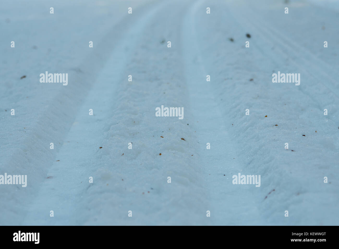 Cross Country Skiing Tracks in dirty snow Stock Photo - Alamy