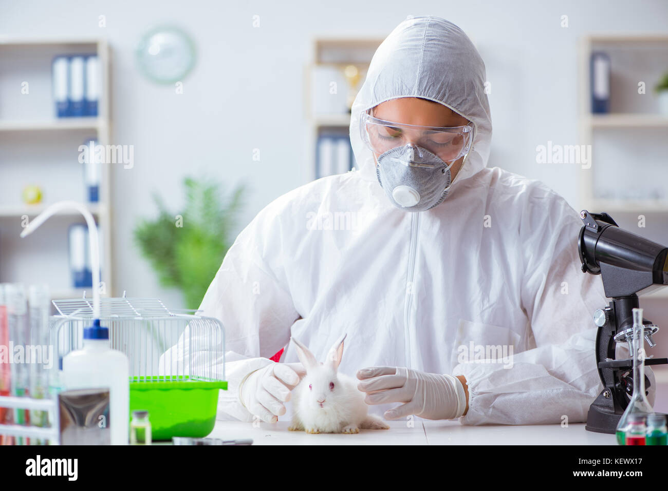 Scientist doing animal experiment in lab with rabbit Stock Photo - Alamy