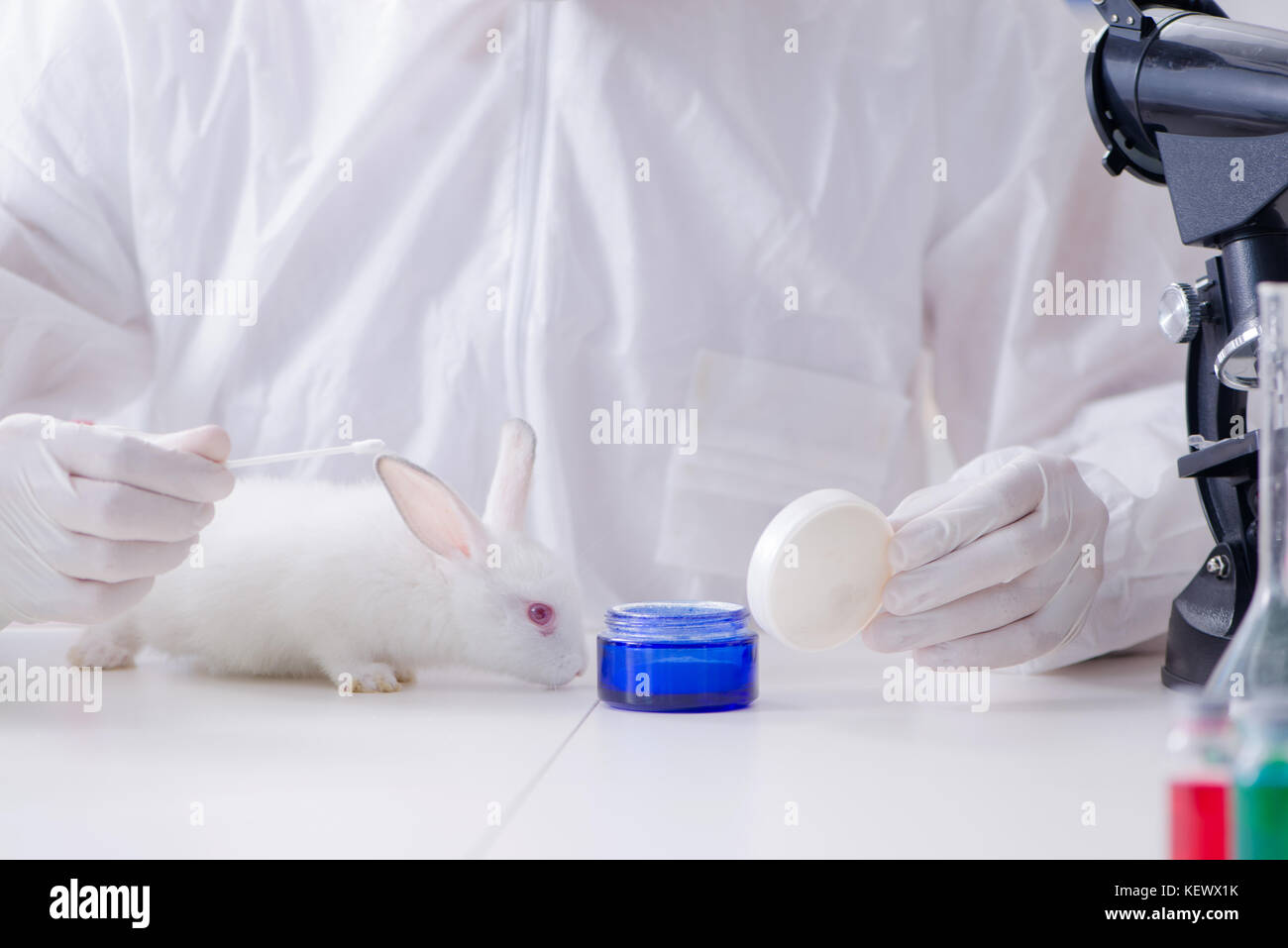 White rabbit in scientific lab experiment Stock Photo - Alamy