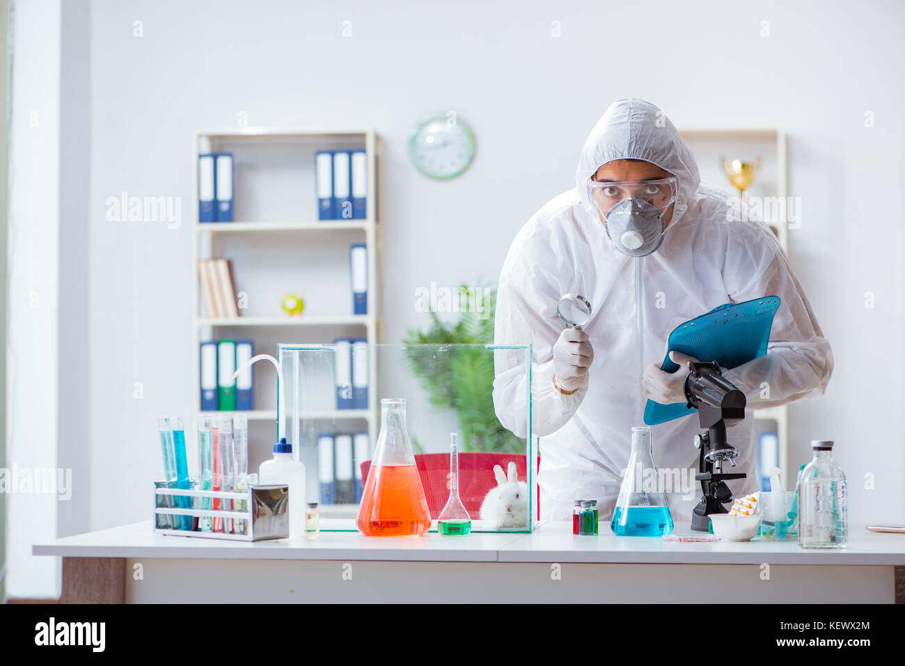 Scientist doing animal experiment in lab with rabbit Stock Photo - Alamy