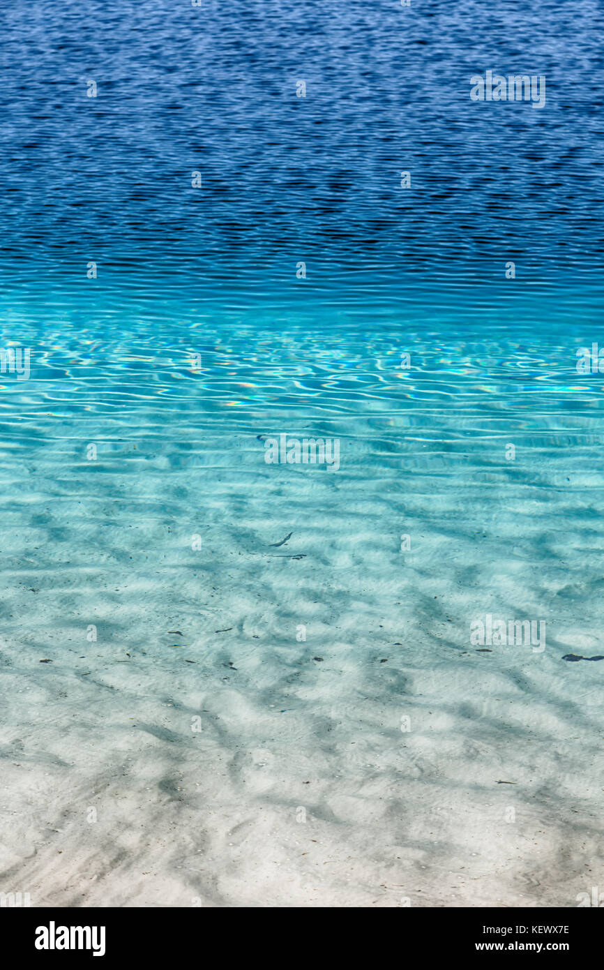 in australia the concept of relax in the clean water near coastline ...