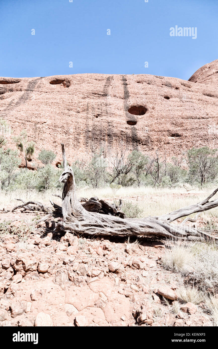 in australia the concept of wilderness environment in the landscape ...