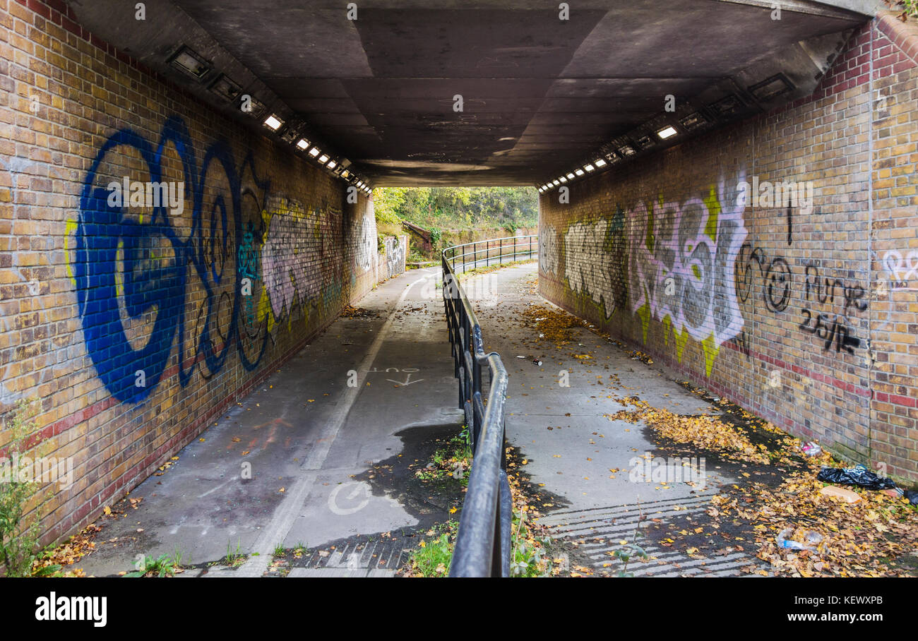 suburban pedestrian underpass, creepy, graffiti,grungy Stock Photo - Alamy