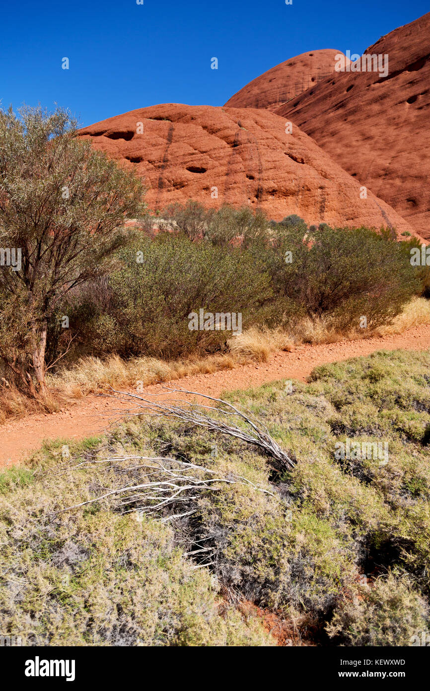 in australia the concept of wilderness environment in the landscape ...