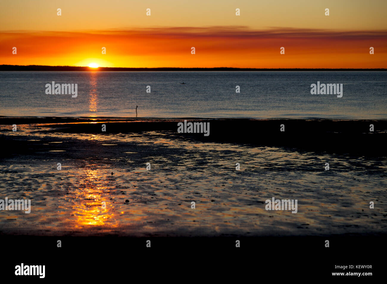 in australia the sunset in the ocean like concept of relax and holiday ...