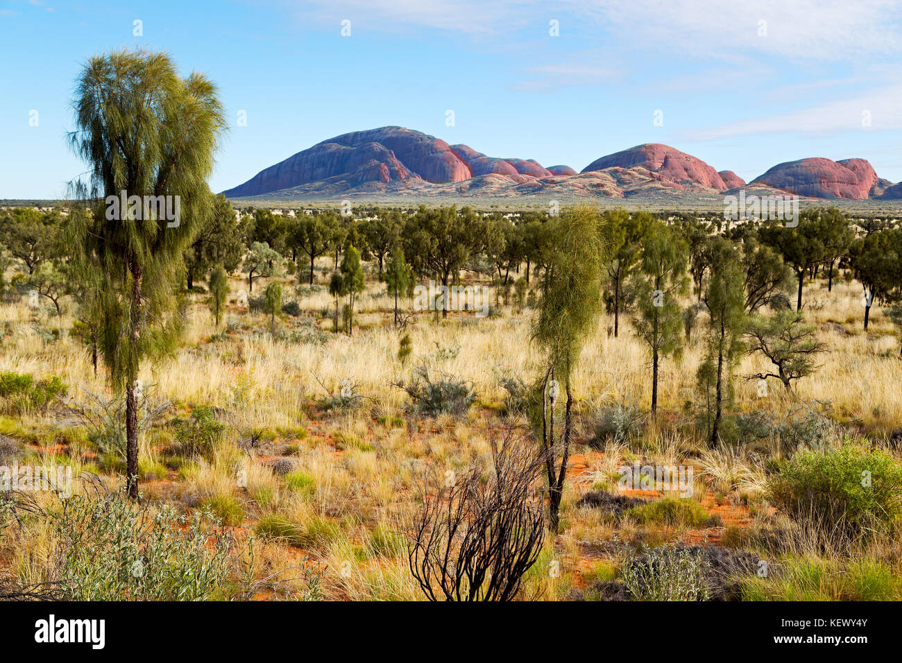 in australia the concept of wilderness environment in the landscape ...