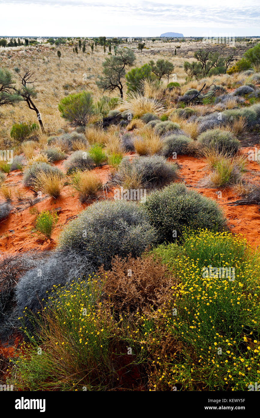 in australia the concept of wilderness environment in the landscape ...