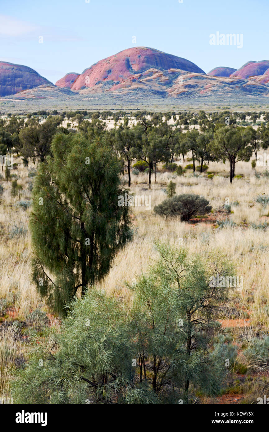 in australia the concept of wilderness environment in the landscape ...