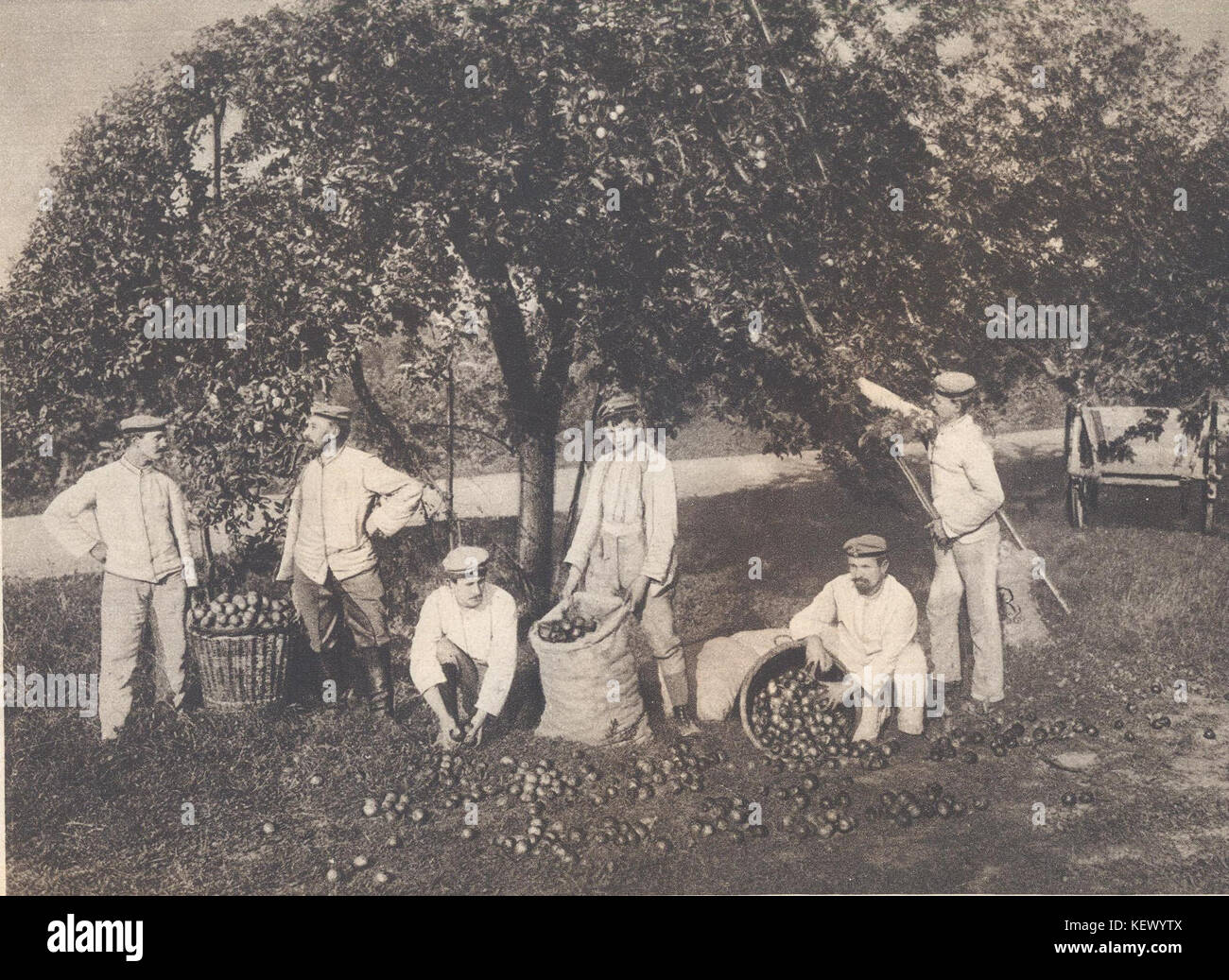 237K 1 361 22 Behind the Western Front. German soldiers gathering in ...