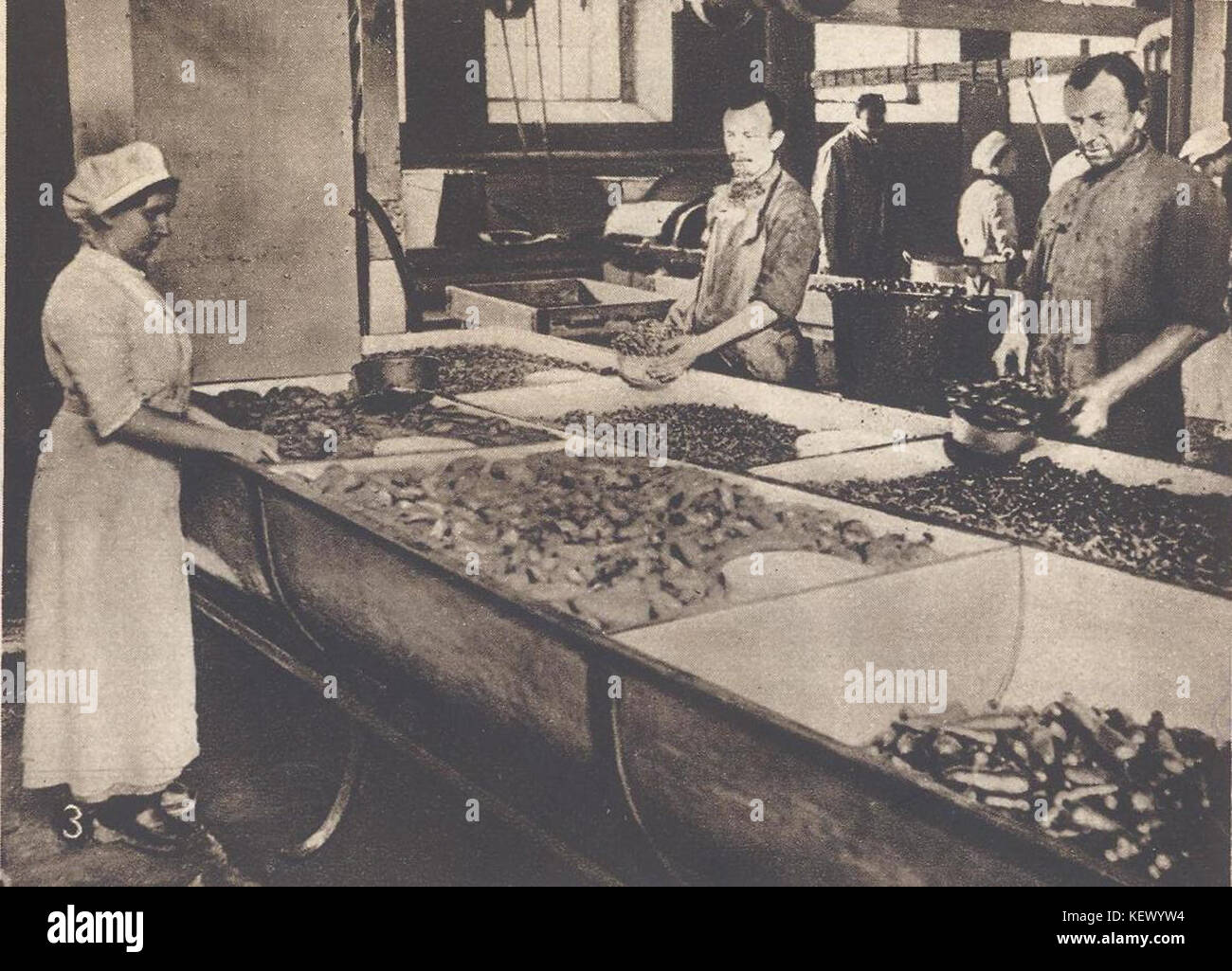 Canning factories hi-res stock photography and images - Alamy