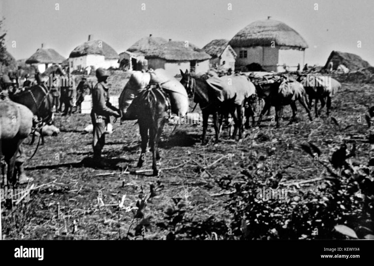 Alpini wwii hi-res stock photography and images - Alamy