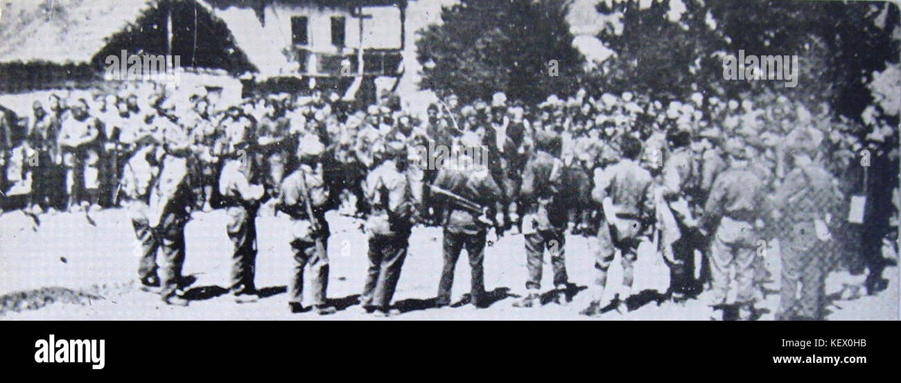 41va Divizija, 1944 Stock Photo - Alamy