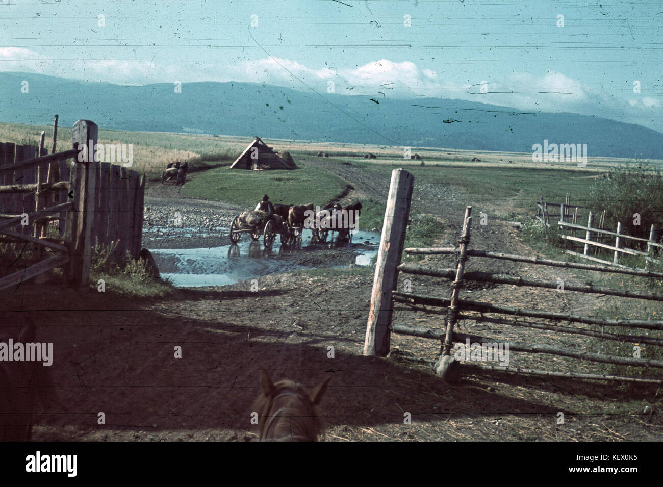 Colorful, chariot, coach, landscape Fortepan 4835 Stock Photo - Alamy