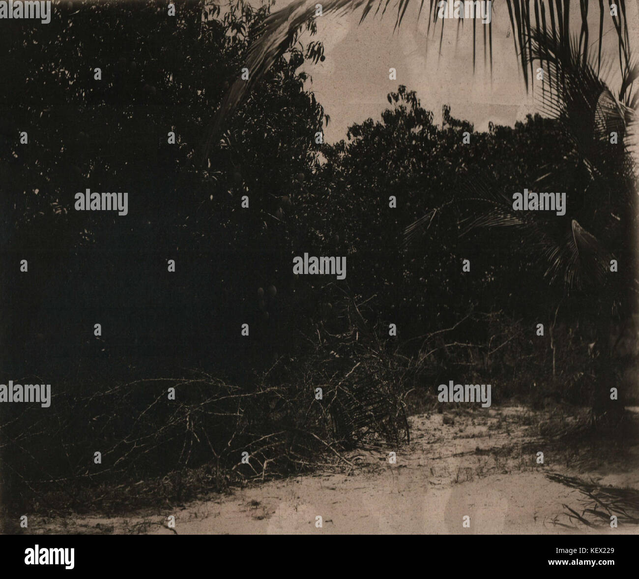 Kilwa sultanate hi-res stock photography and images - Alamy