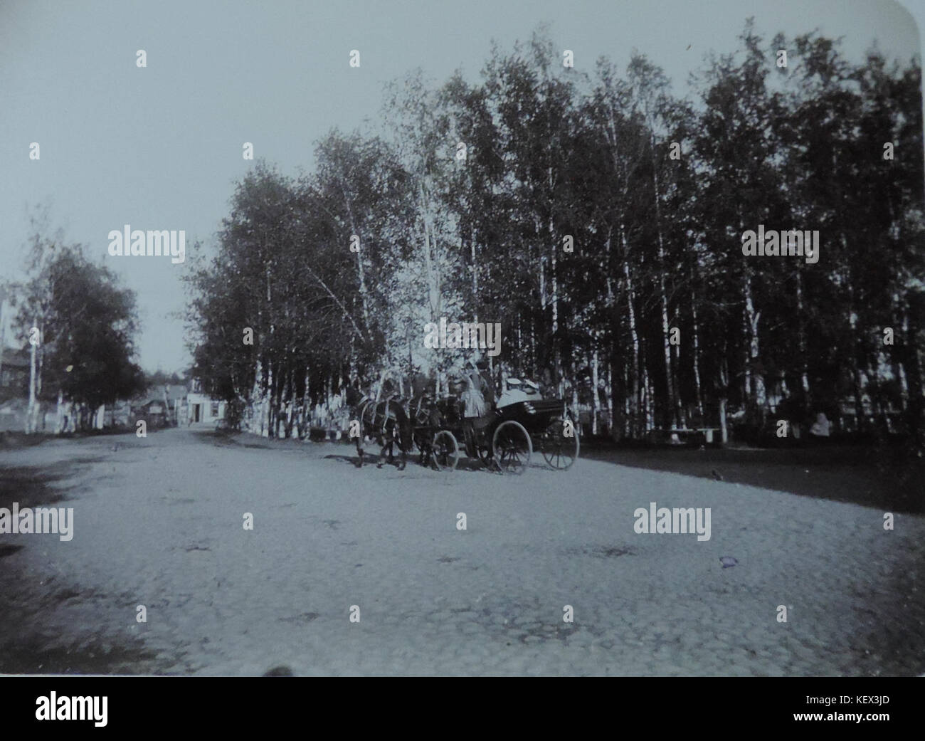 3K 7 476 25 Ferdinand I of Bulgaria in the Russian Empire in 1902 Stock ...