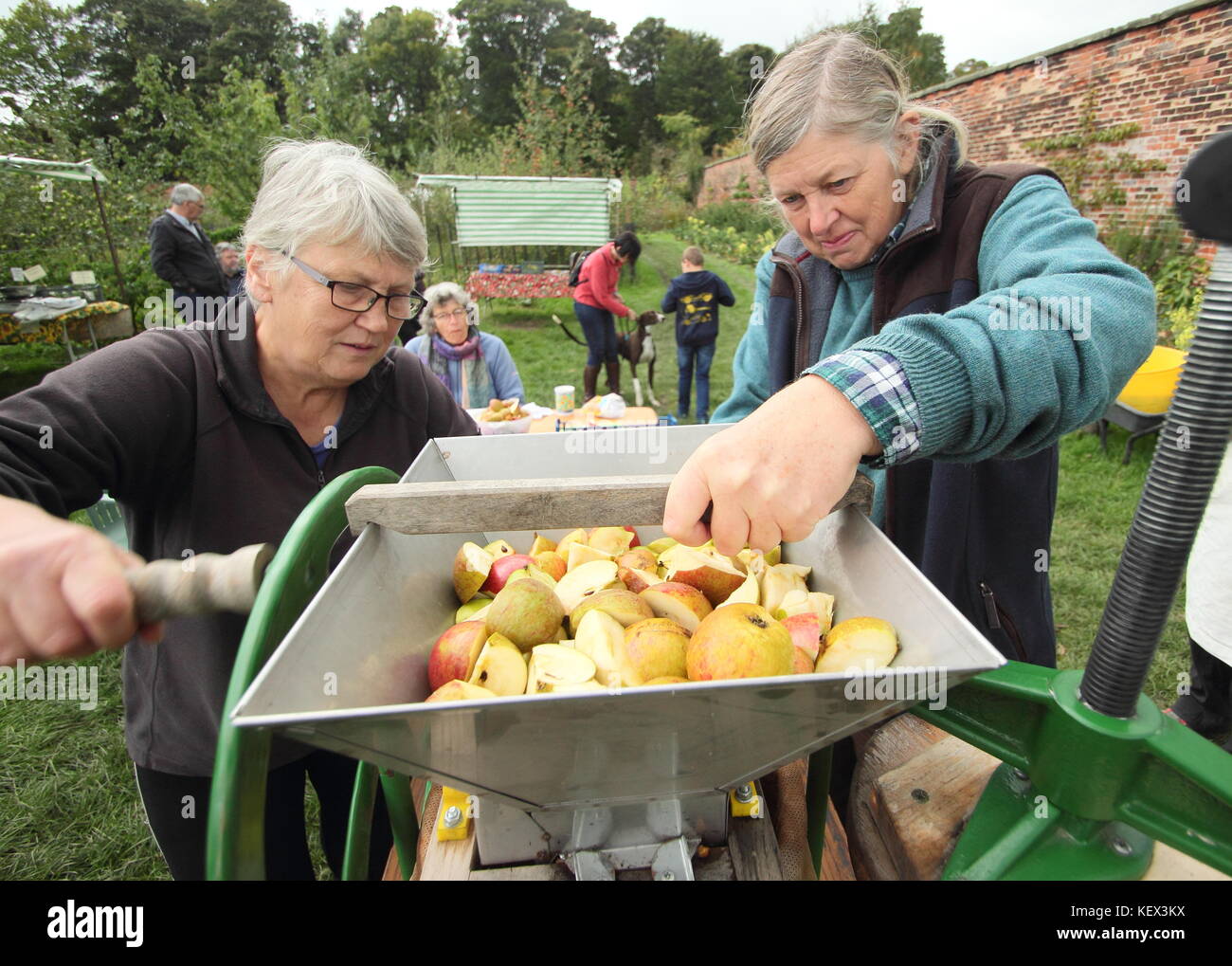 Pressing apples hi-res stock photography and images - Alamy