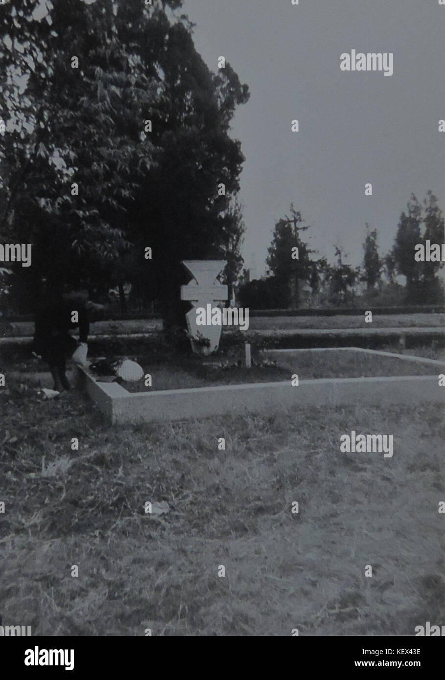 2128K 1 259 8 Yordan Yovkov grave Stock Photo - Alamy