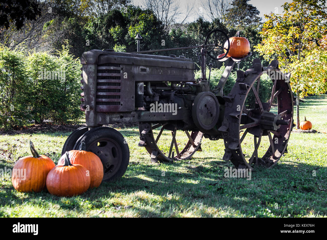 Tractor with pumpkins hi-res stock photography and images - Alamy