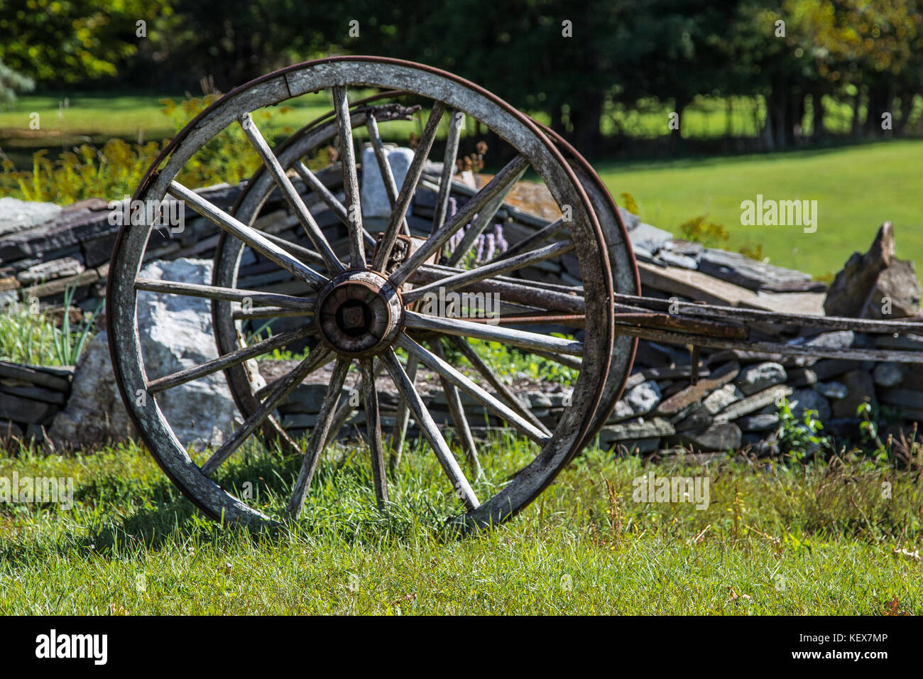 Old cart in a field Stock Photo - Alamy