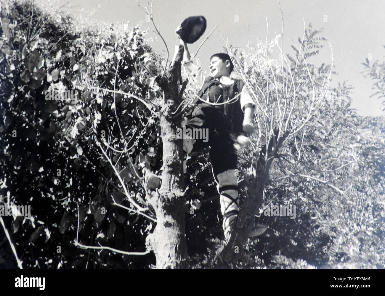 This photograph captures a scene from South Dobruja in 1940. The image ...