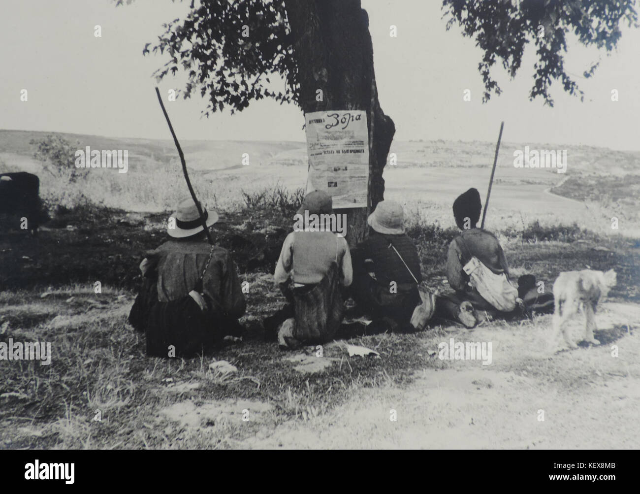 Dobruja history hi-res stock photography and images - Alamy