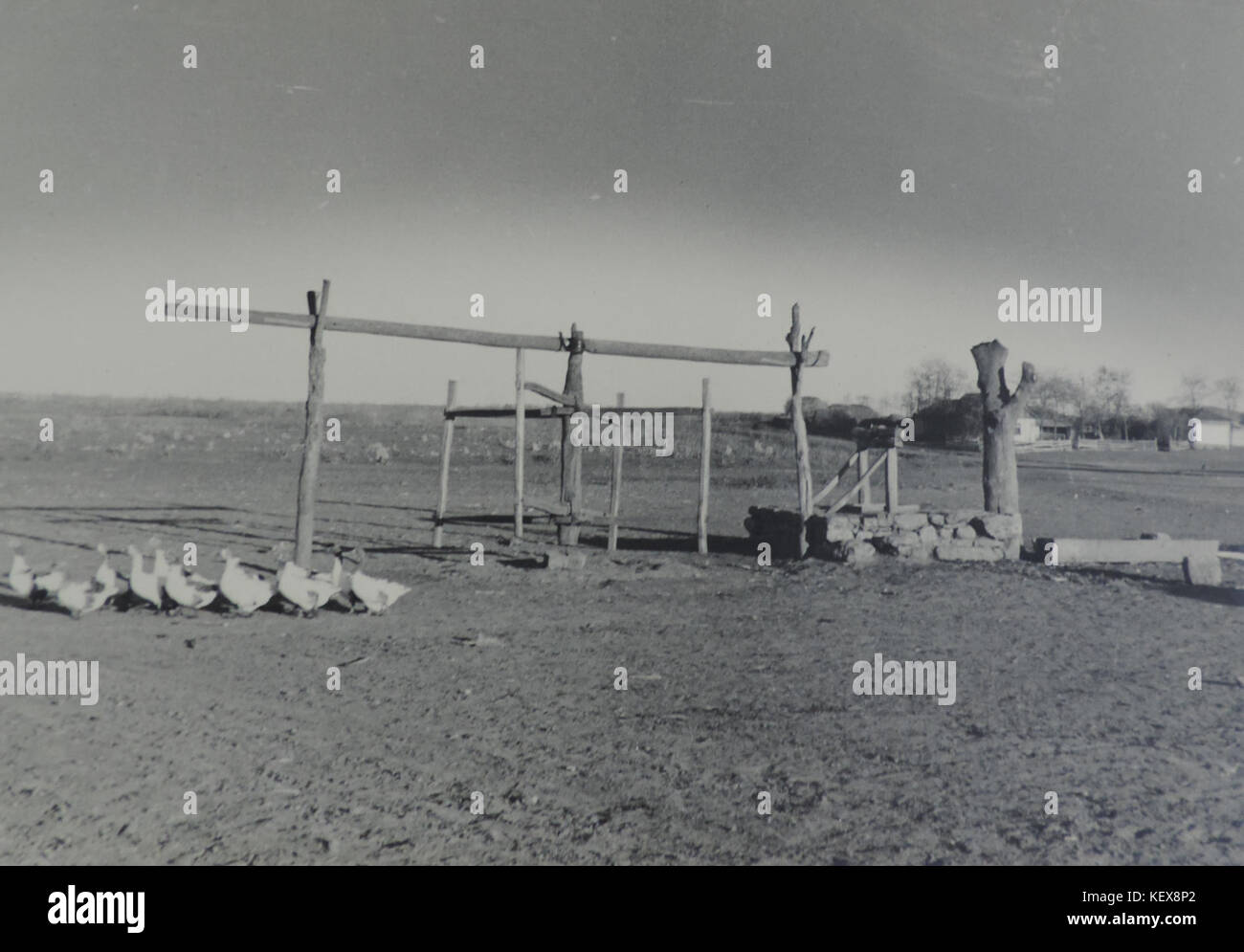 3K 7 436 39 Photo of South Dobruja, 1940 Stock Photo - Alamy