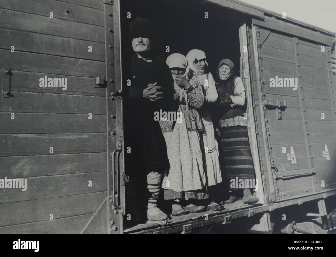 3K 7 436 49 Photo of South Dobruja, 1940 Stock Photo - Alamy