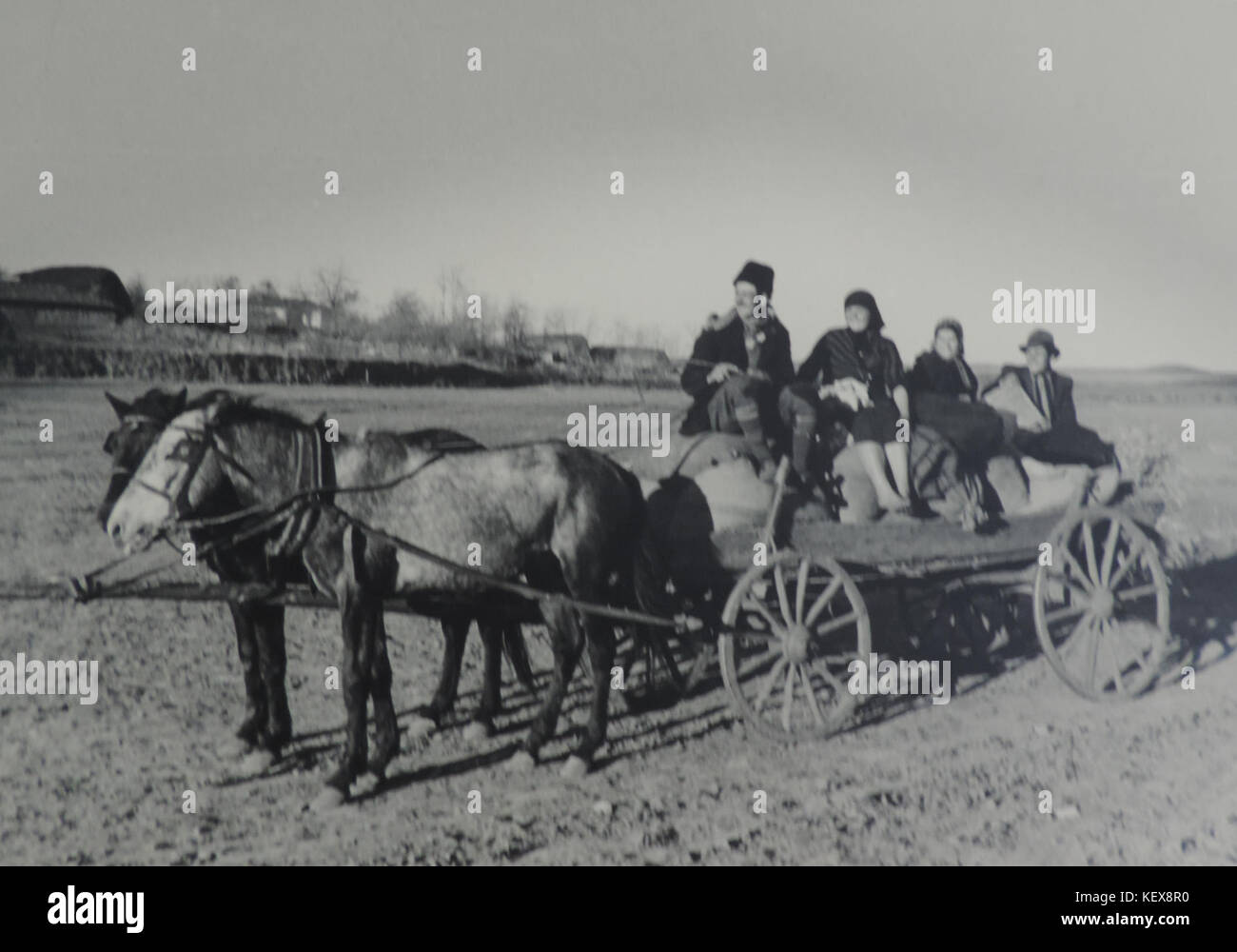 3K 7 436 58 Photo of South Dobruja, 1940 Stock Photo - Alamy