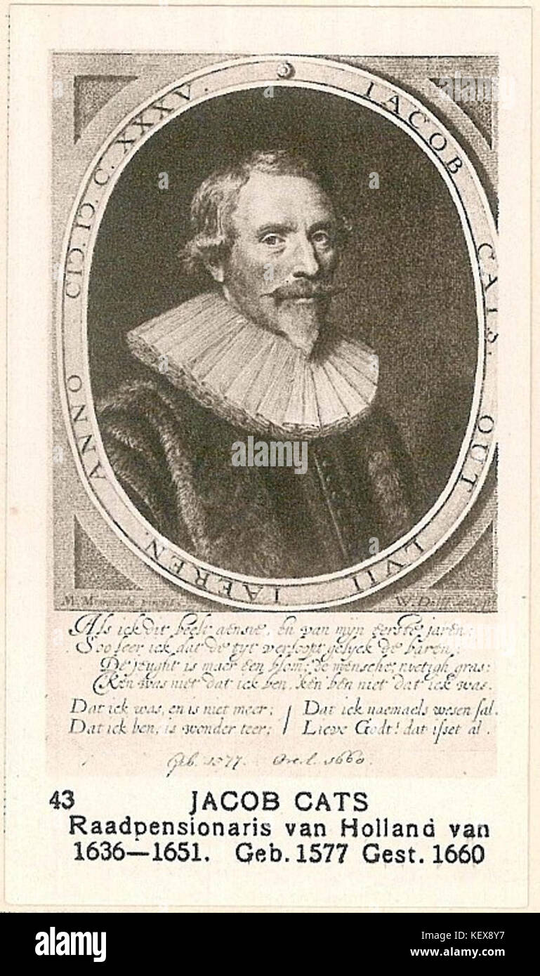 43 Jacob Cats Stock Photo - Alamy