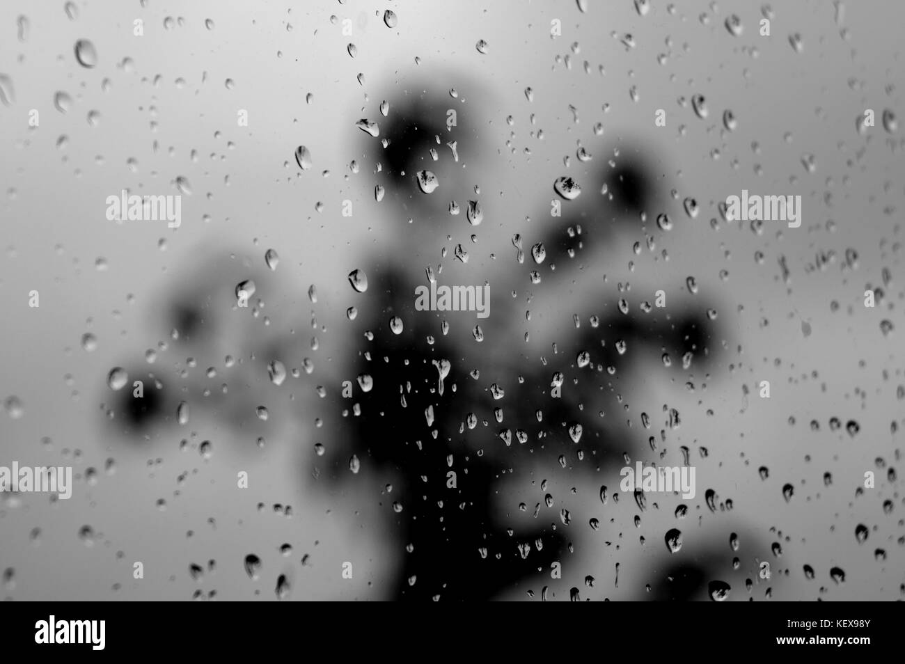 Rain drops, window, mood, rain, rainy day Stock Photo - Alamy
