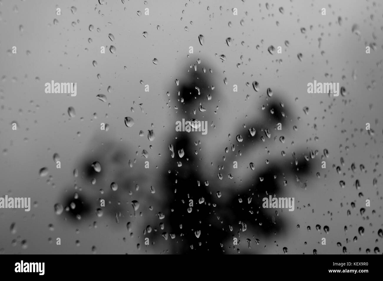 Rain drops, window, mood, rain, rainy day Stock Photo - Alamy