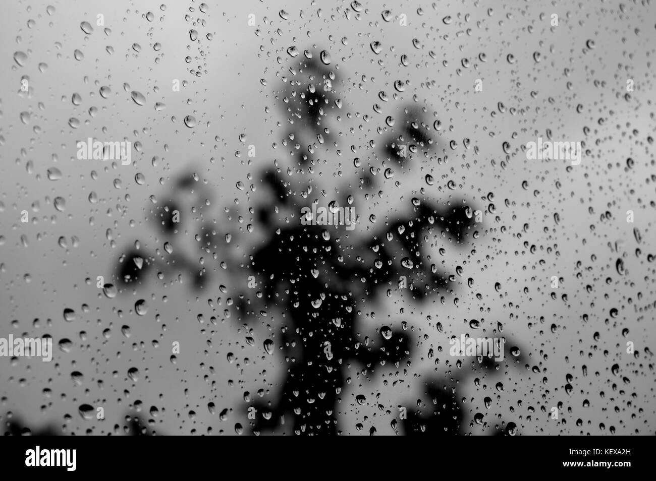 Rain drops, window, mood, rain, rainy day Stock Photo - Alamy