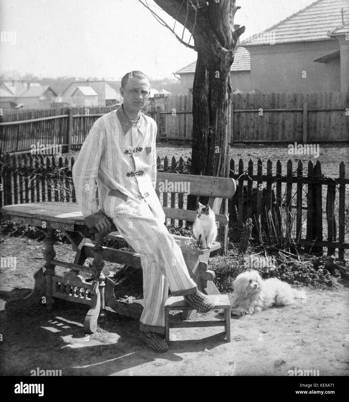 Animal pets dog cat Black and White Stock Photos & Images - Alamy