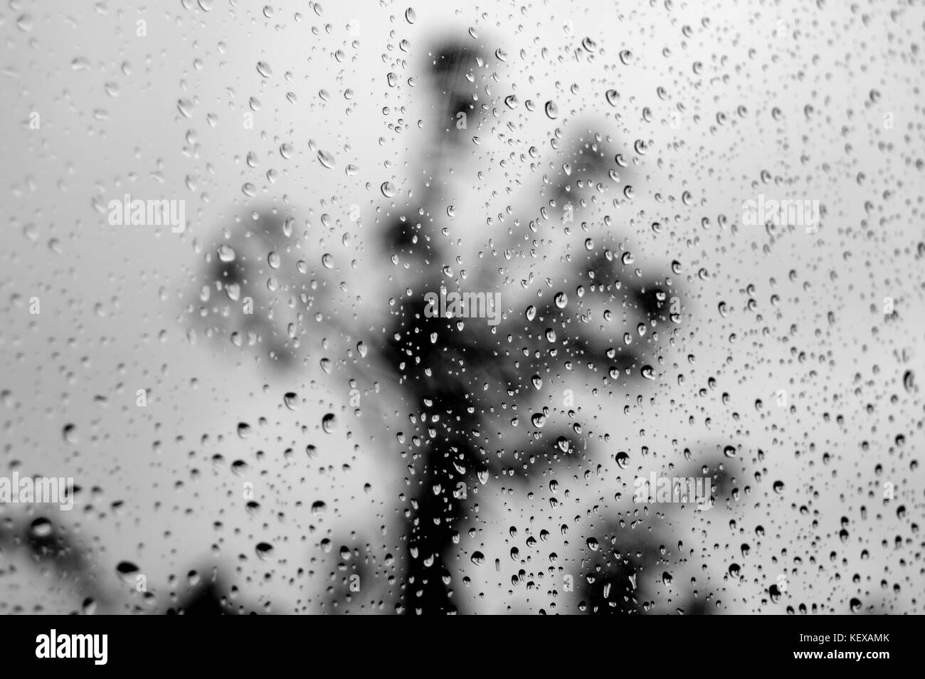 Rain drops, window, mood, rain, rainy day Stock Photo - Alamy