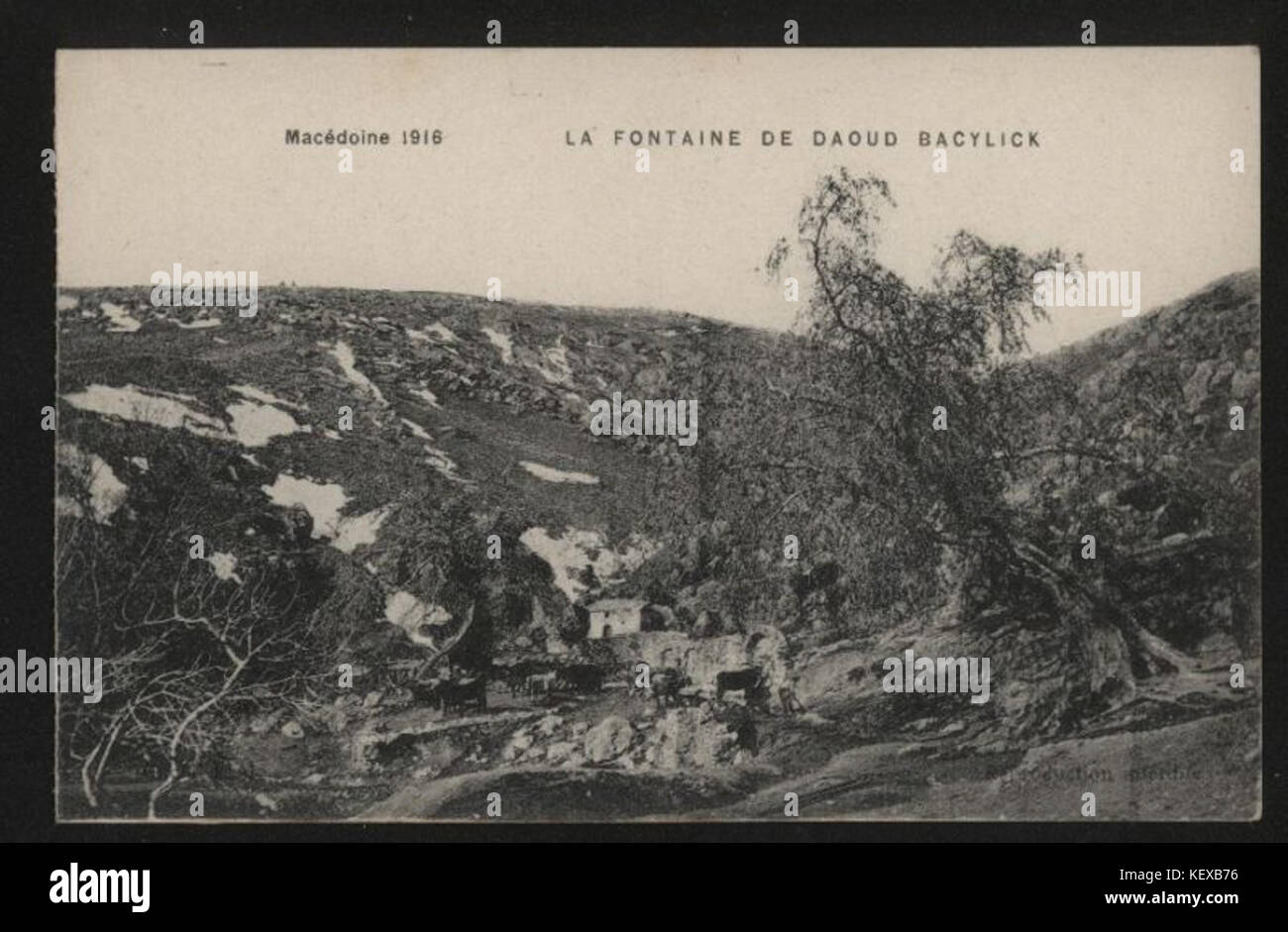 Daud hi-res stock photography and images - Alamy