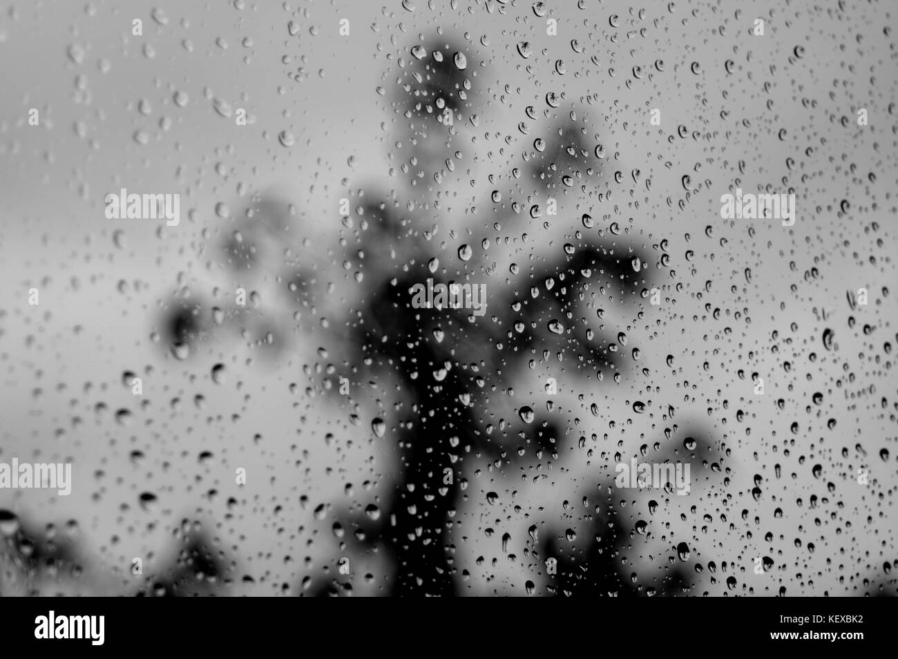 Rain drops, window, mood, rain, rainy day Stock Photo - Alamy