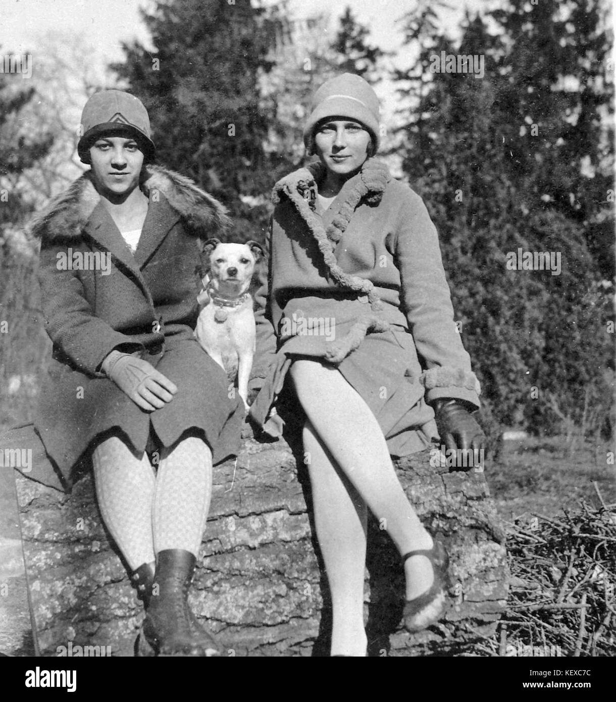 Dog breed traits Black and White Stock Photos & Images - Alamy