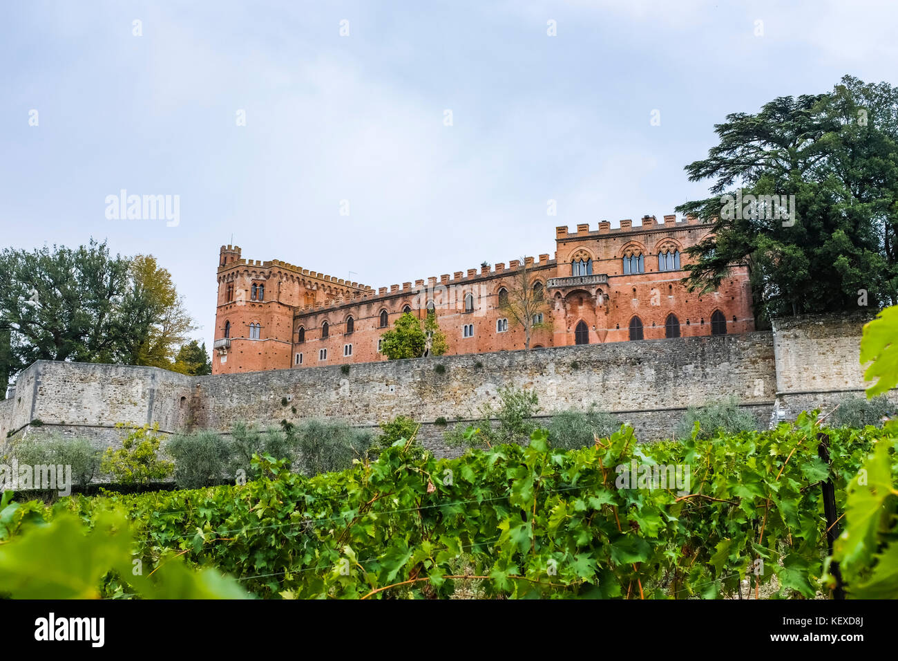 Castle Brolio and a vineyard in Tuscany in Italy, Europe Stock Photo ...