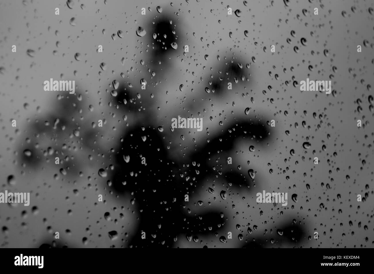 Rain drops, window, mood, rain, rainy day Stock Photo - Alamy