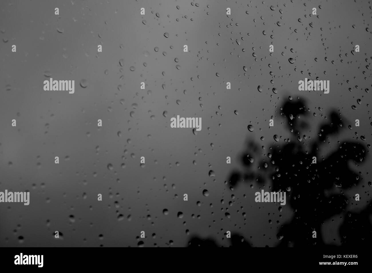 Rain drops, window, mood, rain, rainy day Stock Photo - Alamy