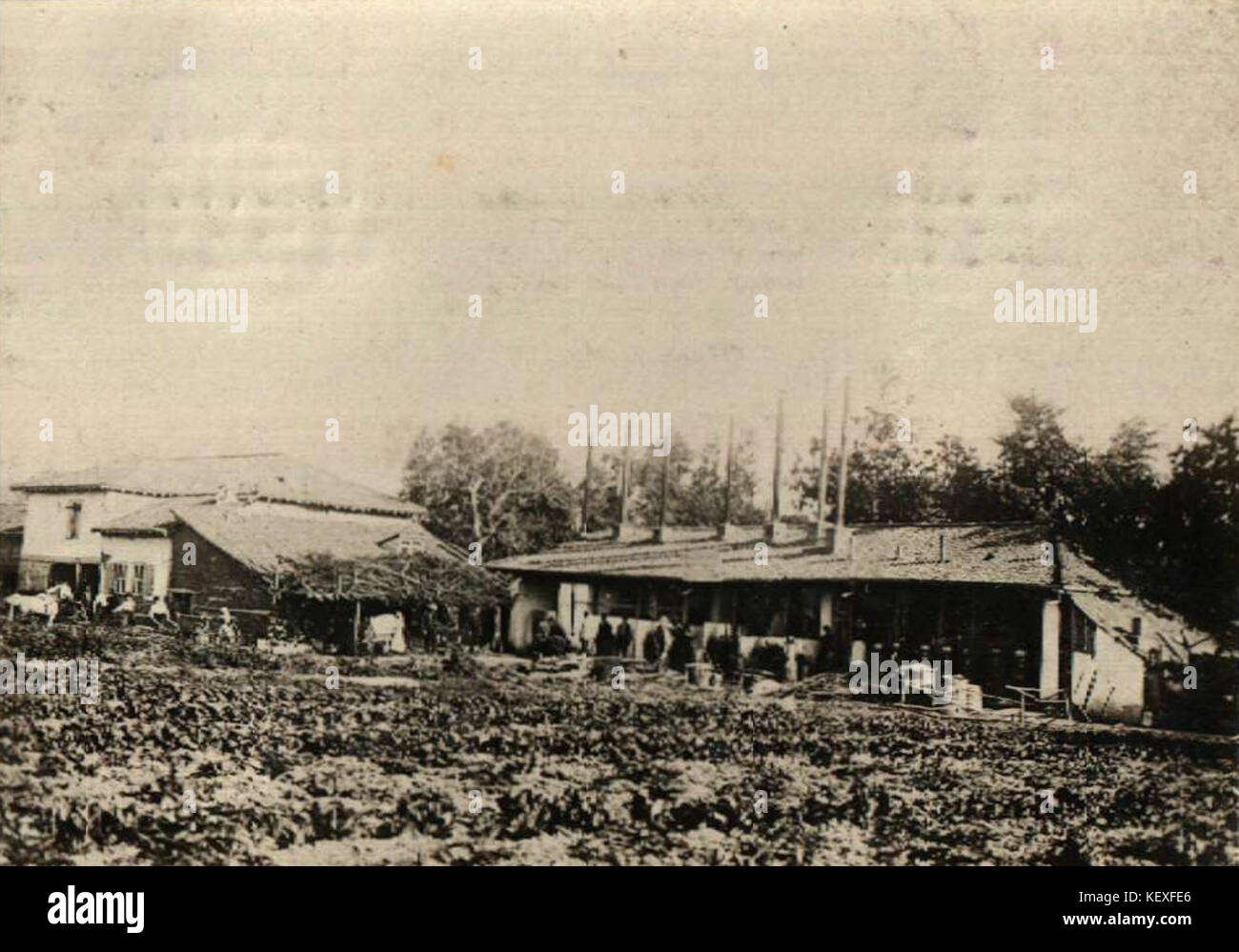 2072K 1 321 4 Rose oil factory, Bulgaria Stock Photo - Alamy